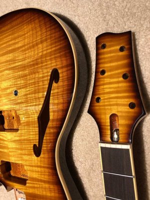 New VIP Hollowbody Build | Unofficial Warmoth Forum