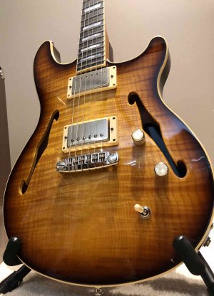 New VIP Hollowbody Build | Unofficial Warmoth Forum