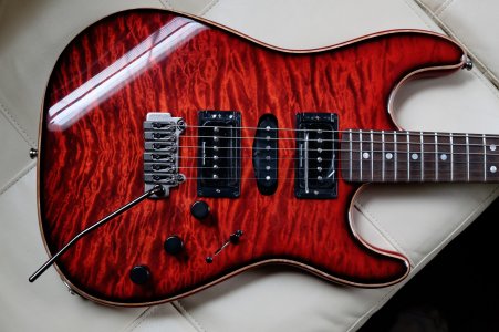 Ebony/Red flame HSH build | Unofficial Warmoth Forum
