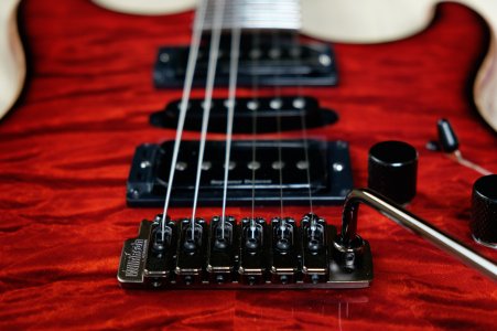 Ebony/Red flame HSH build | Unofficial Warmoth Forum