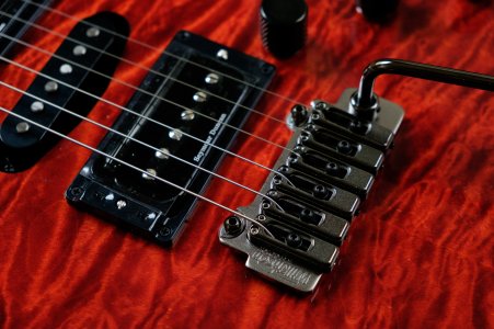 Ebony/Red flame HSH build | Unofficial Warmoth Forum