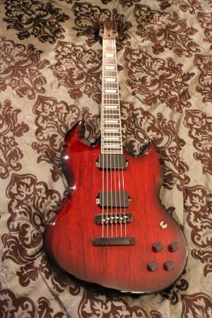 My Diamondback finally completed! | Unofficial Warmoth Forum