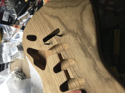 RSA + Padouk Strat build | Unofficial Warmoth Forum